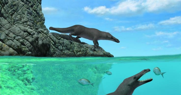 El Pensieve de Dinorider: Peregocetus pacificus, ballena de tierra y ...