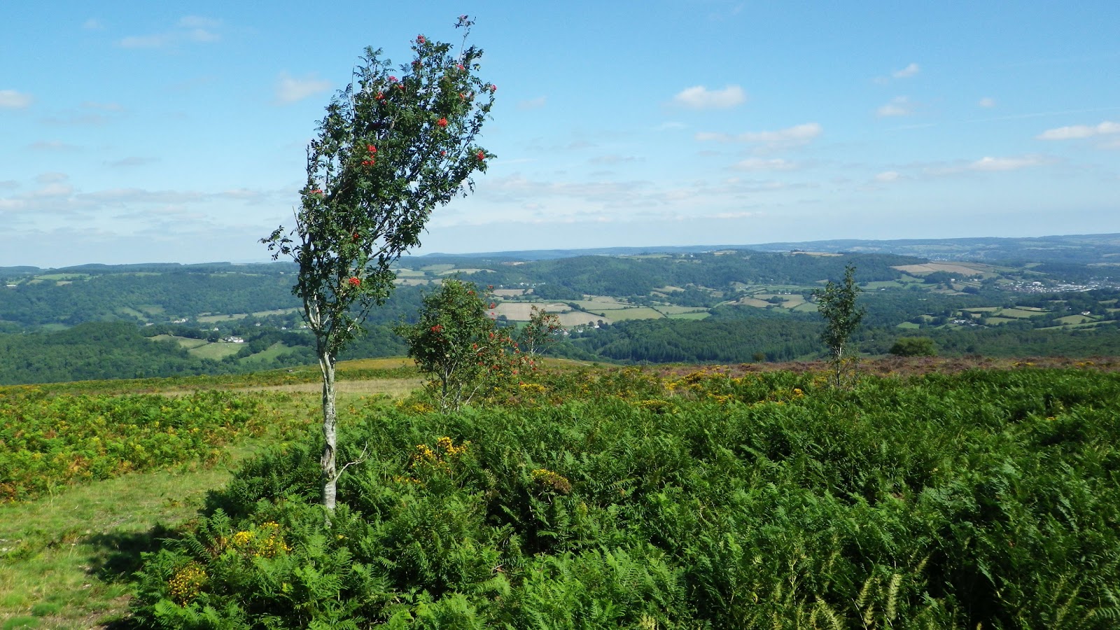 My Dartmoor Walks: Tuesday 3rd September The Templar Way