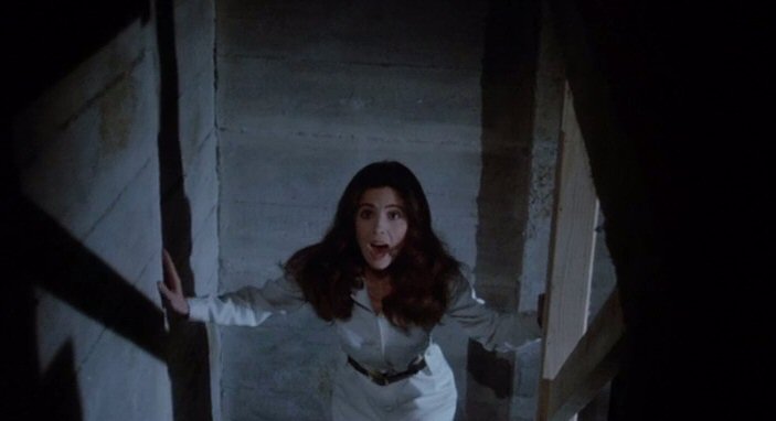 Just Screenshots: Asylum (1972)