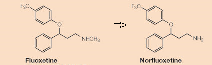 Zéro-tonine et D-pression : La Fluoxétine