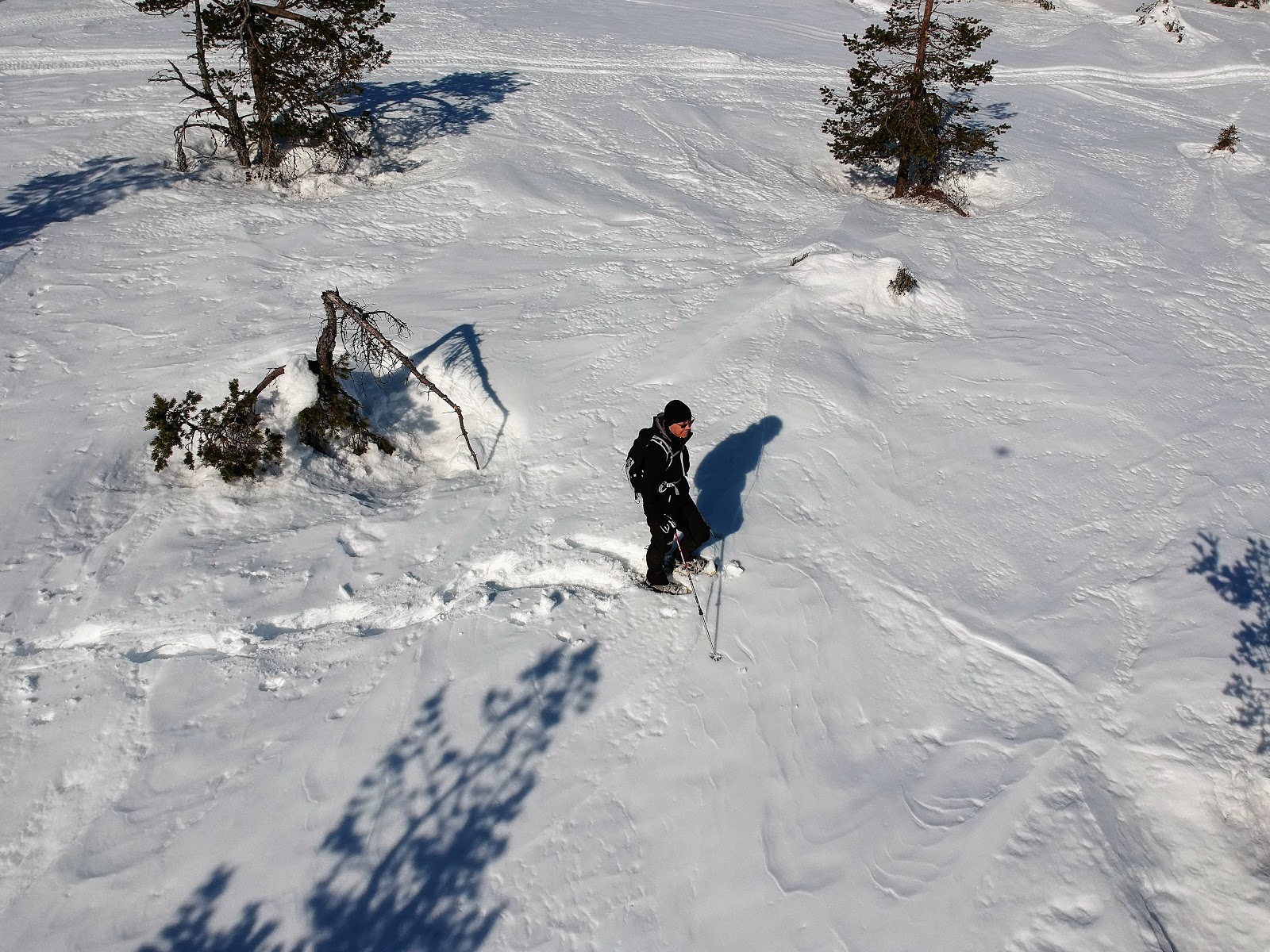 Askelmittari: Iso vaalee