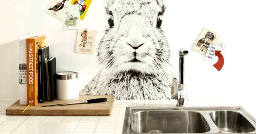 Rabbit Wallpaper For Walls | Important Wallpapers