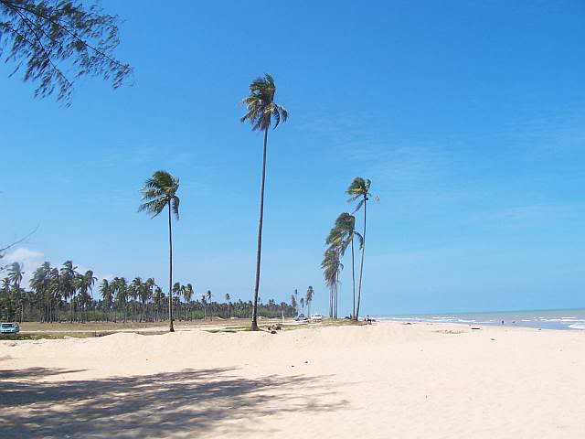 Jalanan Hamba: Asal usul Bachok