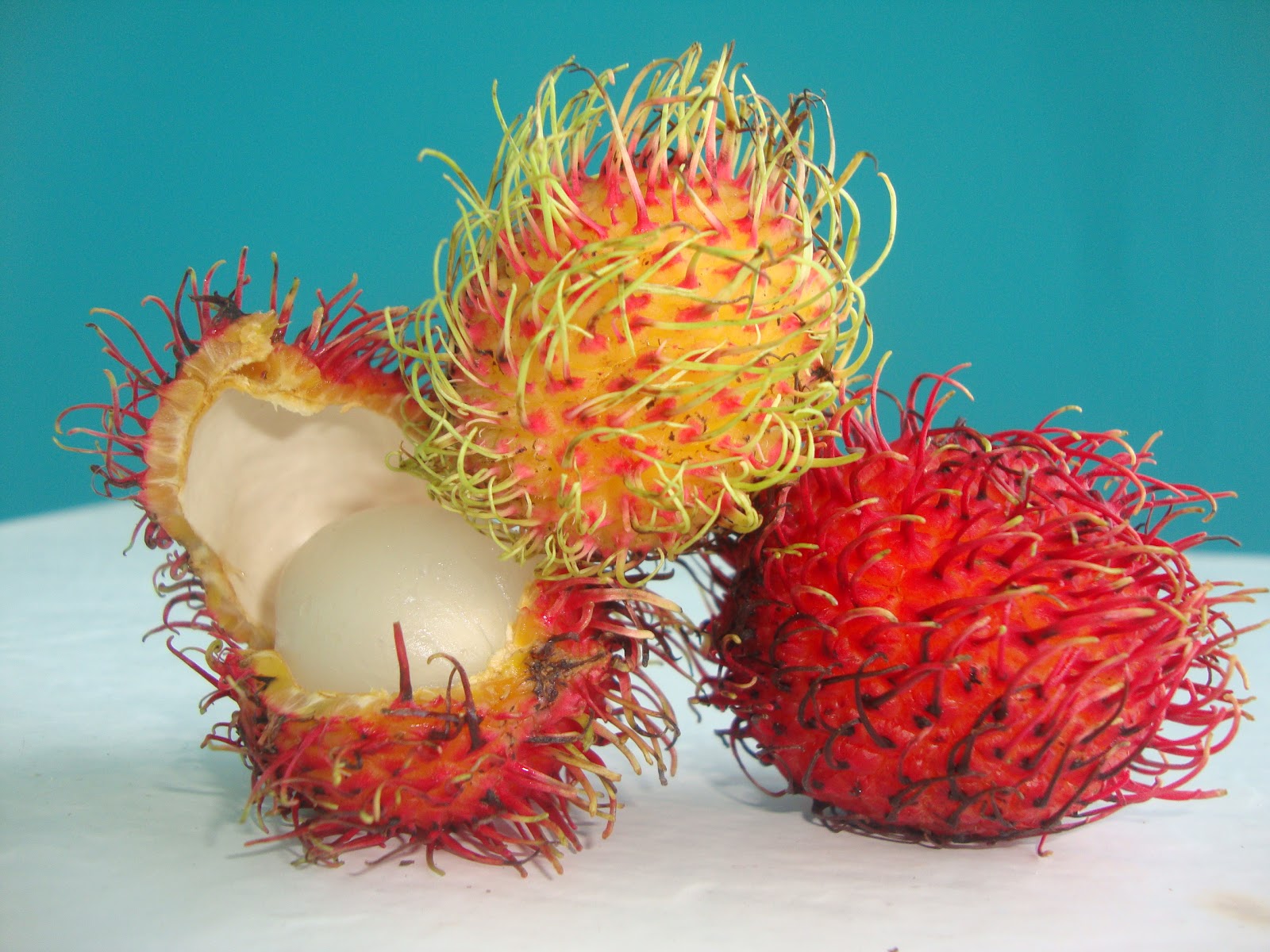 Agape Catering: Mamón Chino