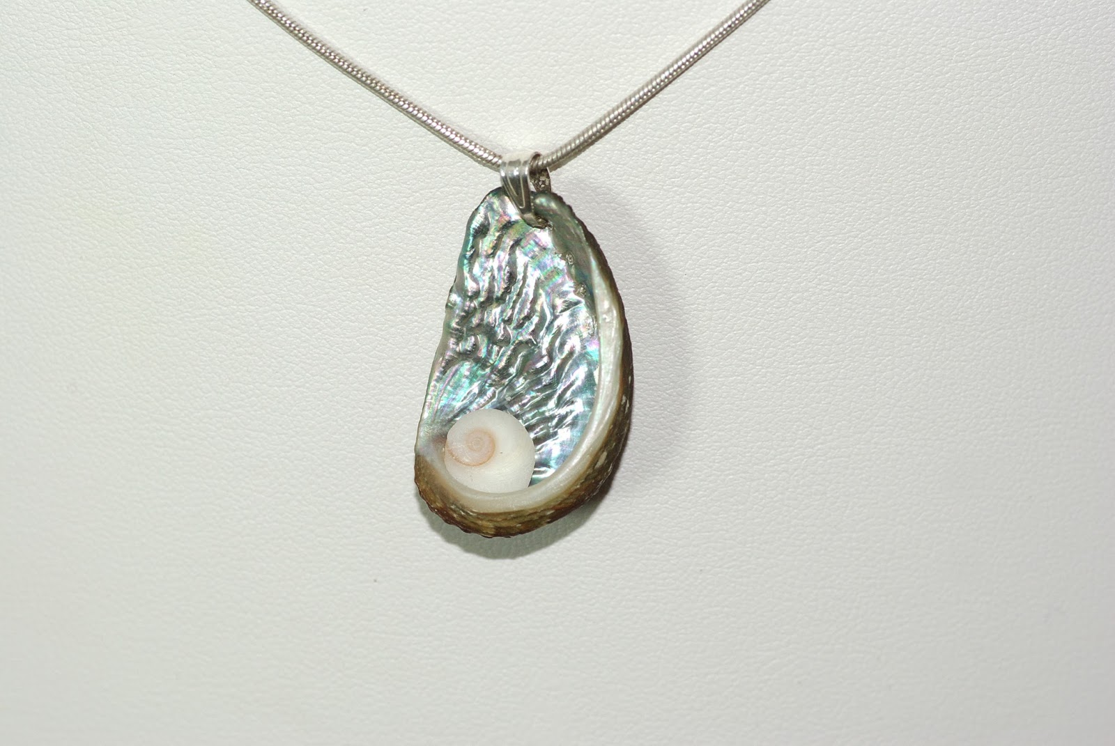 Colliers coquillage : ormeaux