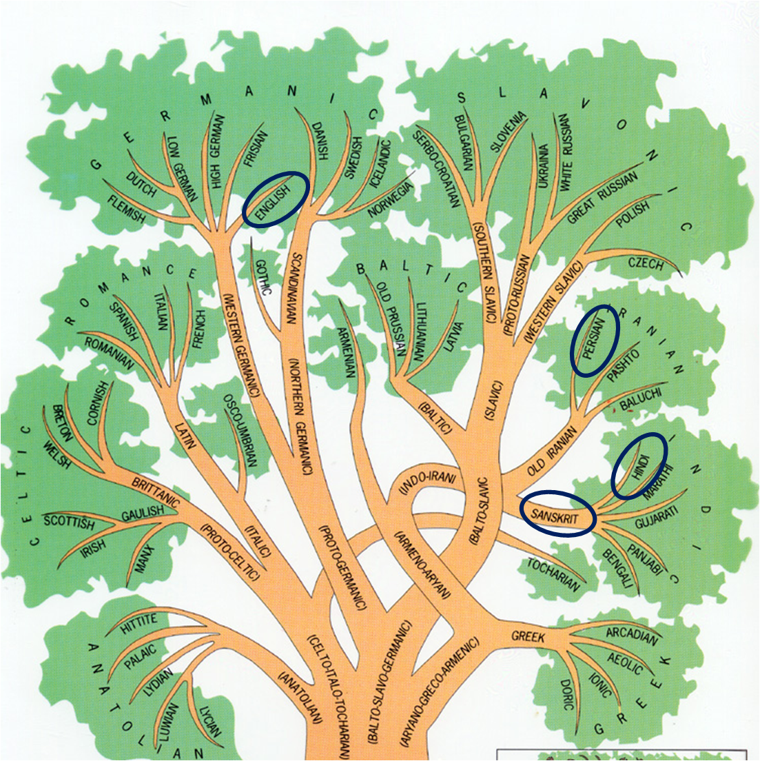 Rangeen Kagaz: Meri Kahaani 1.2 : Transient yet Eternal 2.0