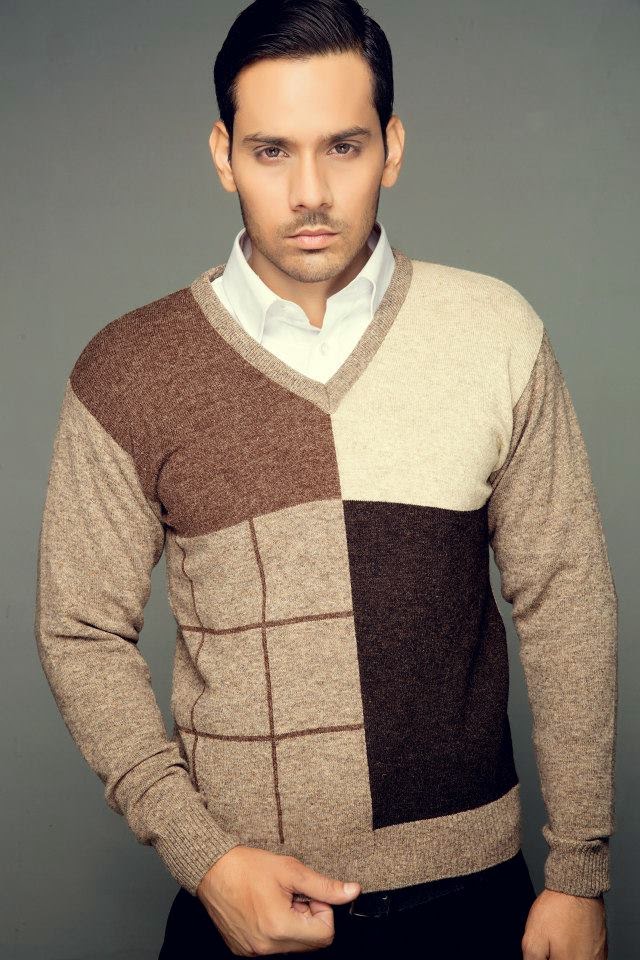 Bonanza Men's Sweaters 2015 | New Designs Of Sweaters For Men And Boys ...