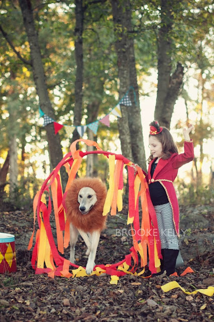 Brooke Kelly Photography: Averie Grace, 5 years: Circus Photo Shoot ...