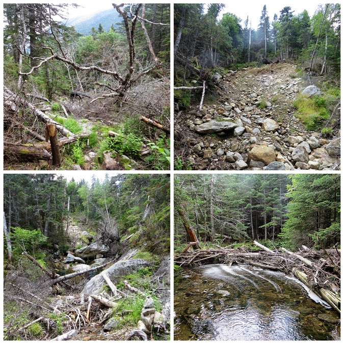 Hiking in the White Mountains: Ridge of the Caps and Back
