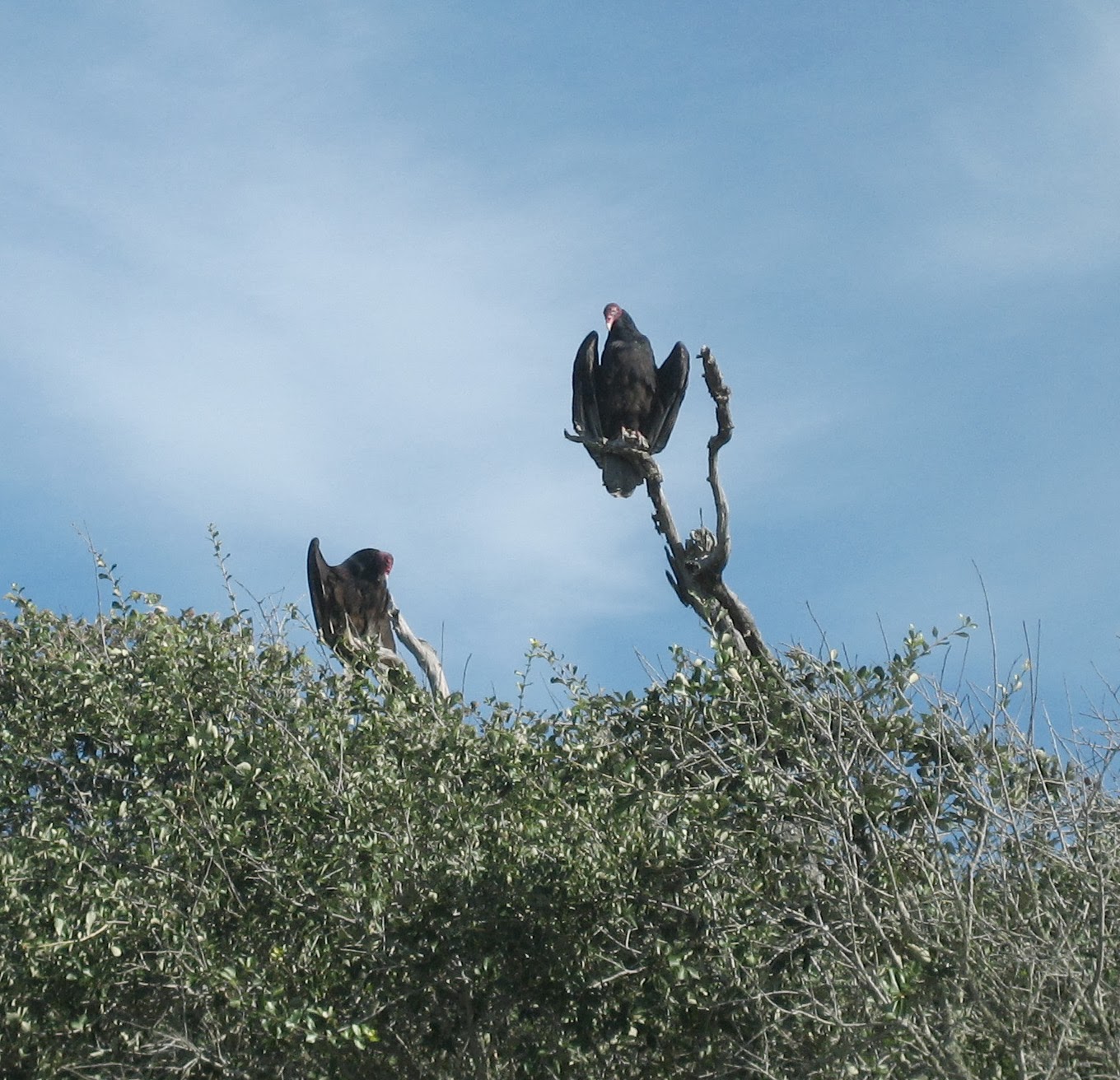 Cummings...and goings...: Bayview RV Resort, Rockport, TX – November 4 ...