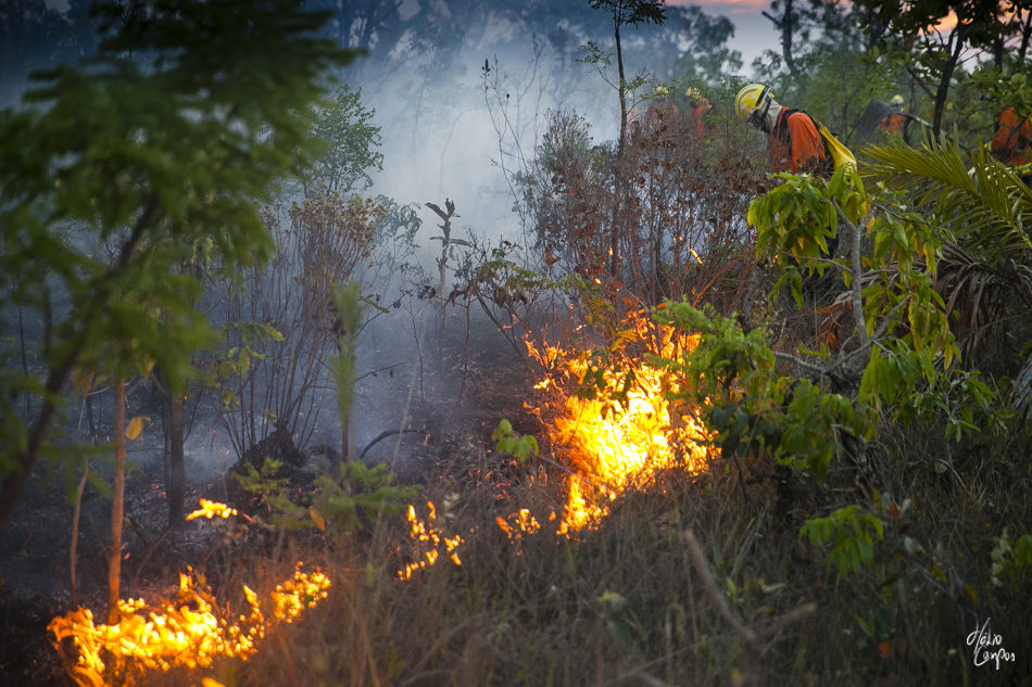 193bombeiros: Incêndio Florestal | SAAN ao lado do Parque Nacional - 05 ...