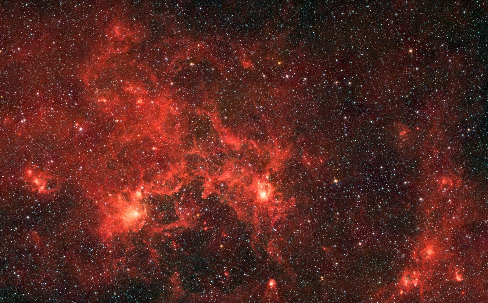 Dragonfish Nebula in the Infrared | Earth Blog