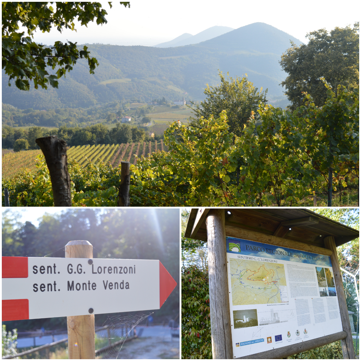 12 cose da vedere sui Colli Euganei - Montagna di Viaggi