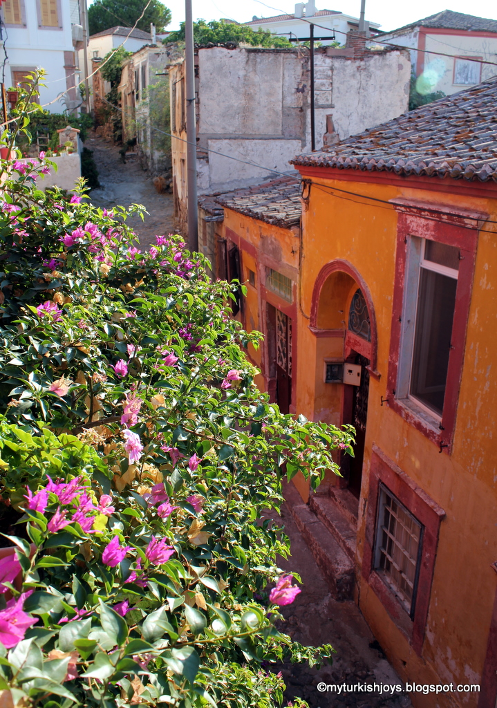 Cunda Adası: Breakfast Under the Nar Tree ~ My Traveling Joys