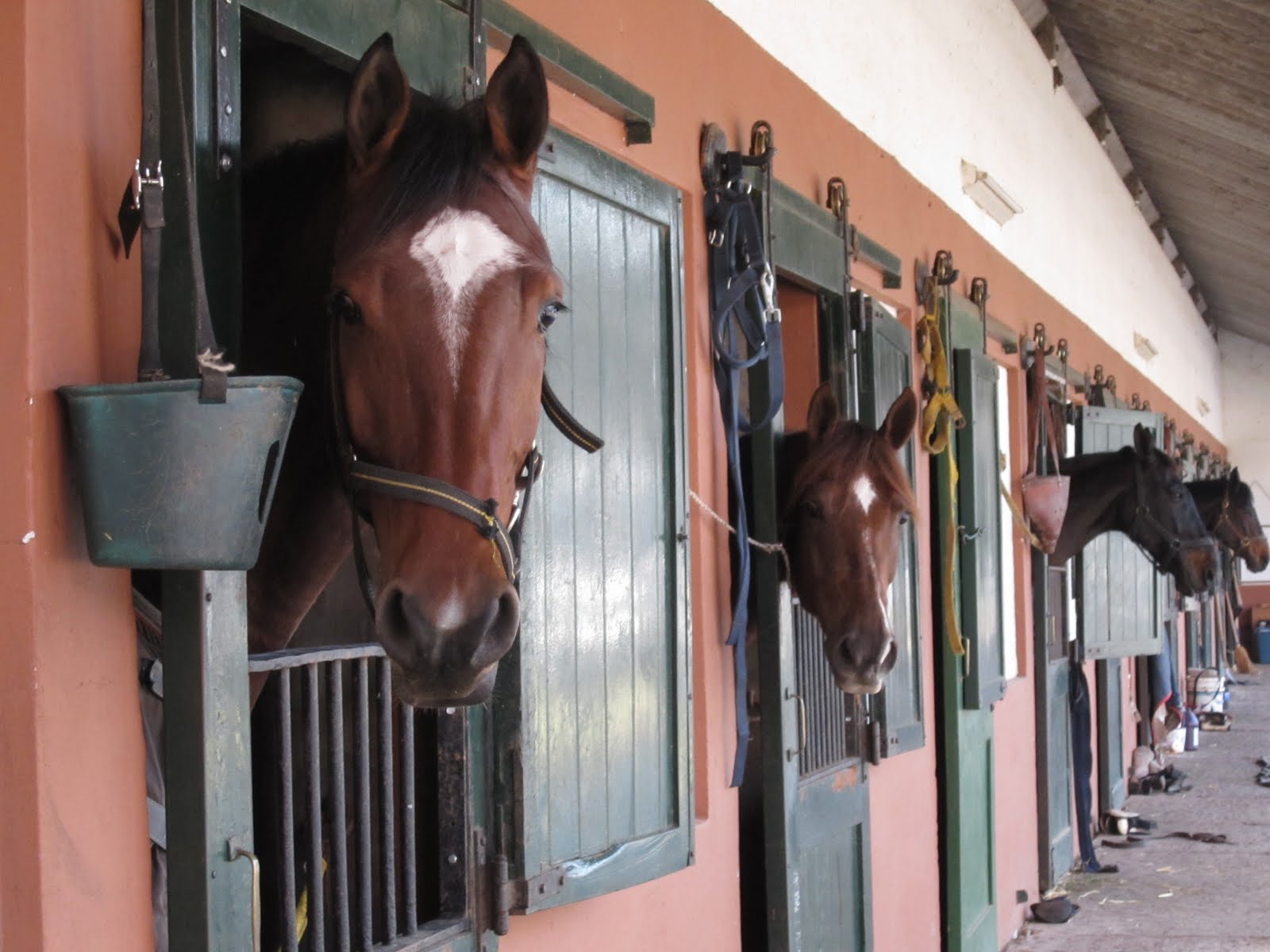 Caballerizas de caballos - Imagui