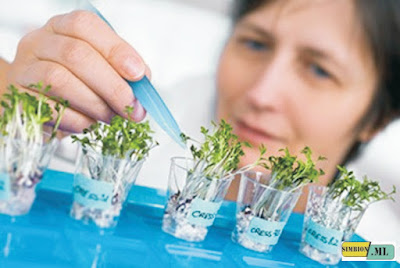 Modern Biotechnology: 10 Product Examples and Its Implementation ...