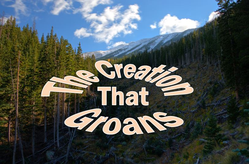 Rocky Road Devotions: The Creation That Groans