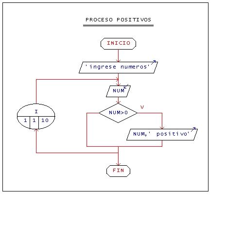 LOGICA DE PROGRAMACION: imprimir solamente los números positivos