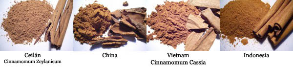 Interrelación entre salud y alimentación: Canela, diferentes tipos y ...