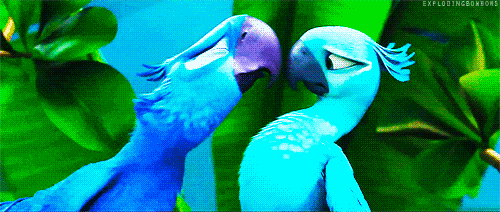 Rio - Filme 2 - Cia dos Gifs