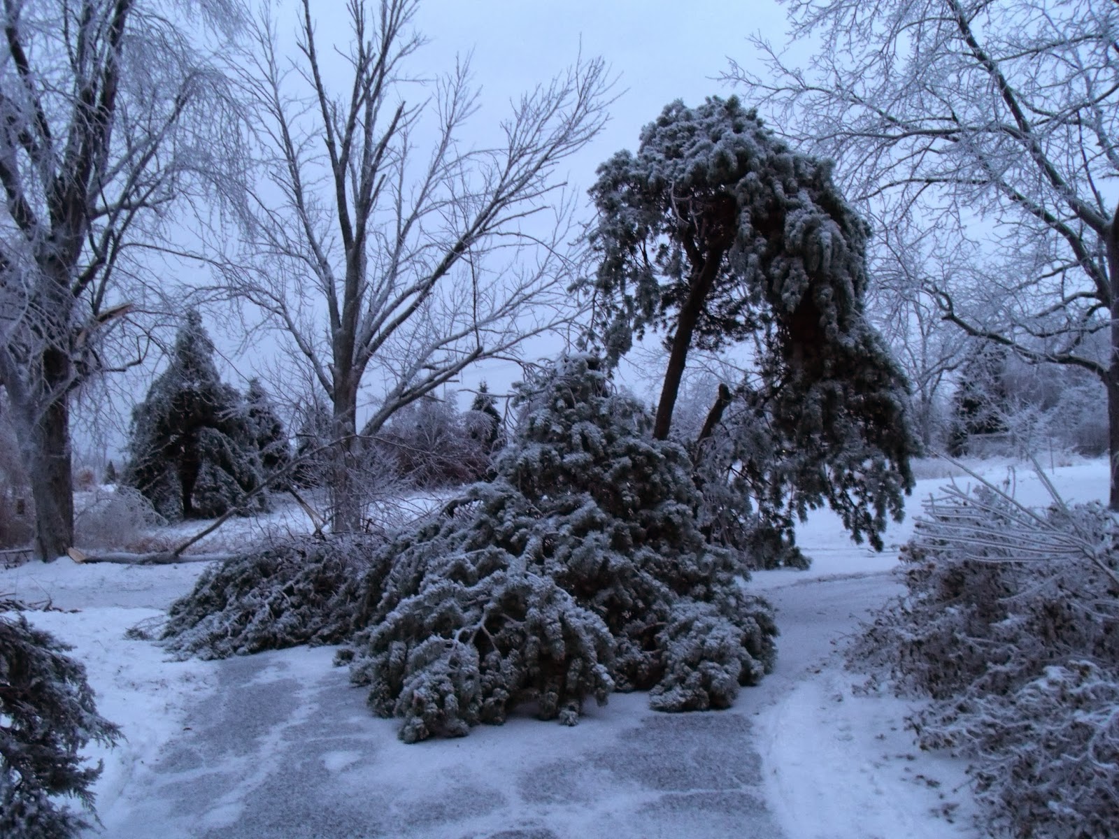 Gear Acres at Top of the Hill: Ice Storm Damage