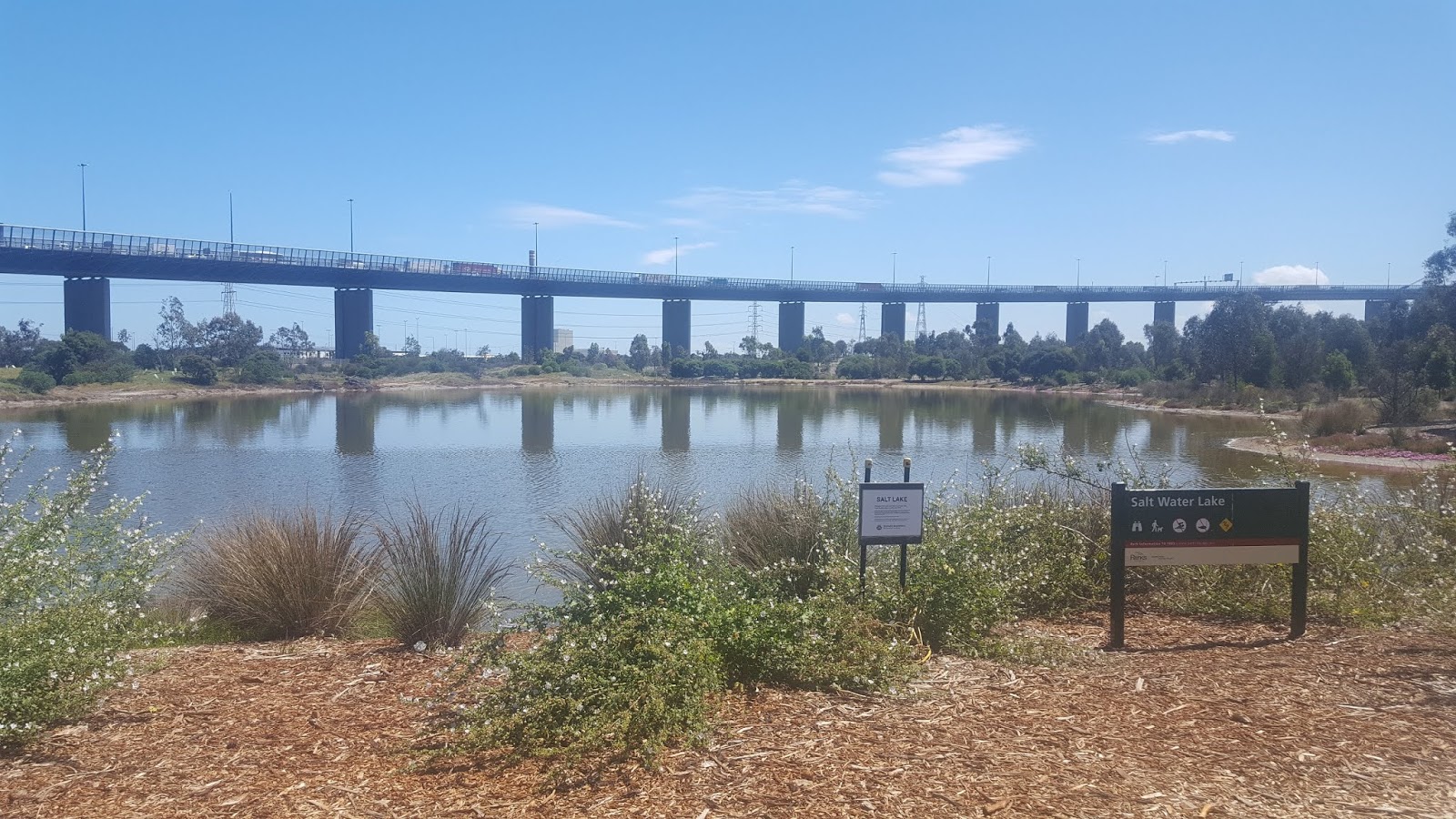 A Field Notebook: Westgate Park, Melbourne