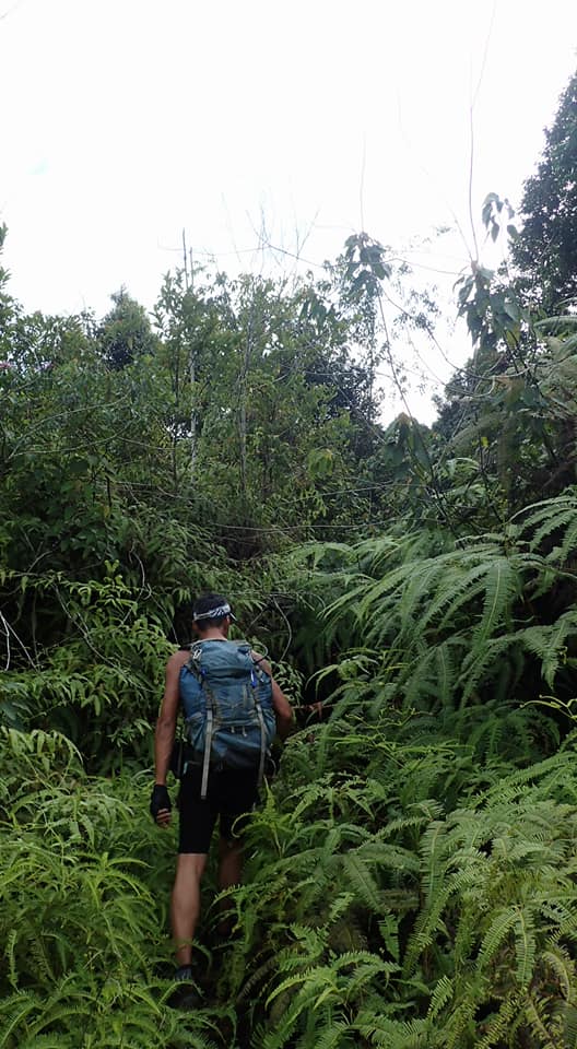 螂迹天涯: 一粒米蟲山 BUKIT BATU BESAR