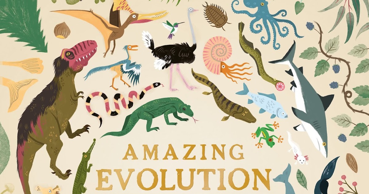Kids' Book Review: Review: Amazing Evolution