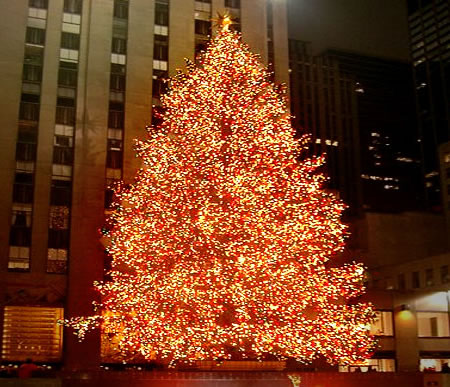 toekana: THE BEST CHRISTMAS TREES - ΤΑ ΩΡΑΙΟΤΕΡΑ ΧΡΙΣΤΟΥΓΕΝΝΙΑΤΙΚΑ ΔΕΝΤΡΑ