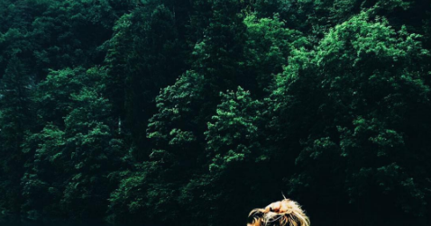 Lovely Boys: Enzo Ciolini