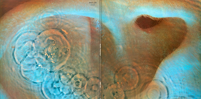 Pink Floyd Ilustrado: Meddle - Pink Floyd