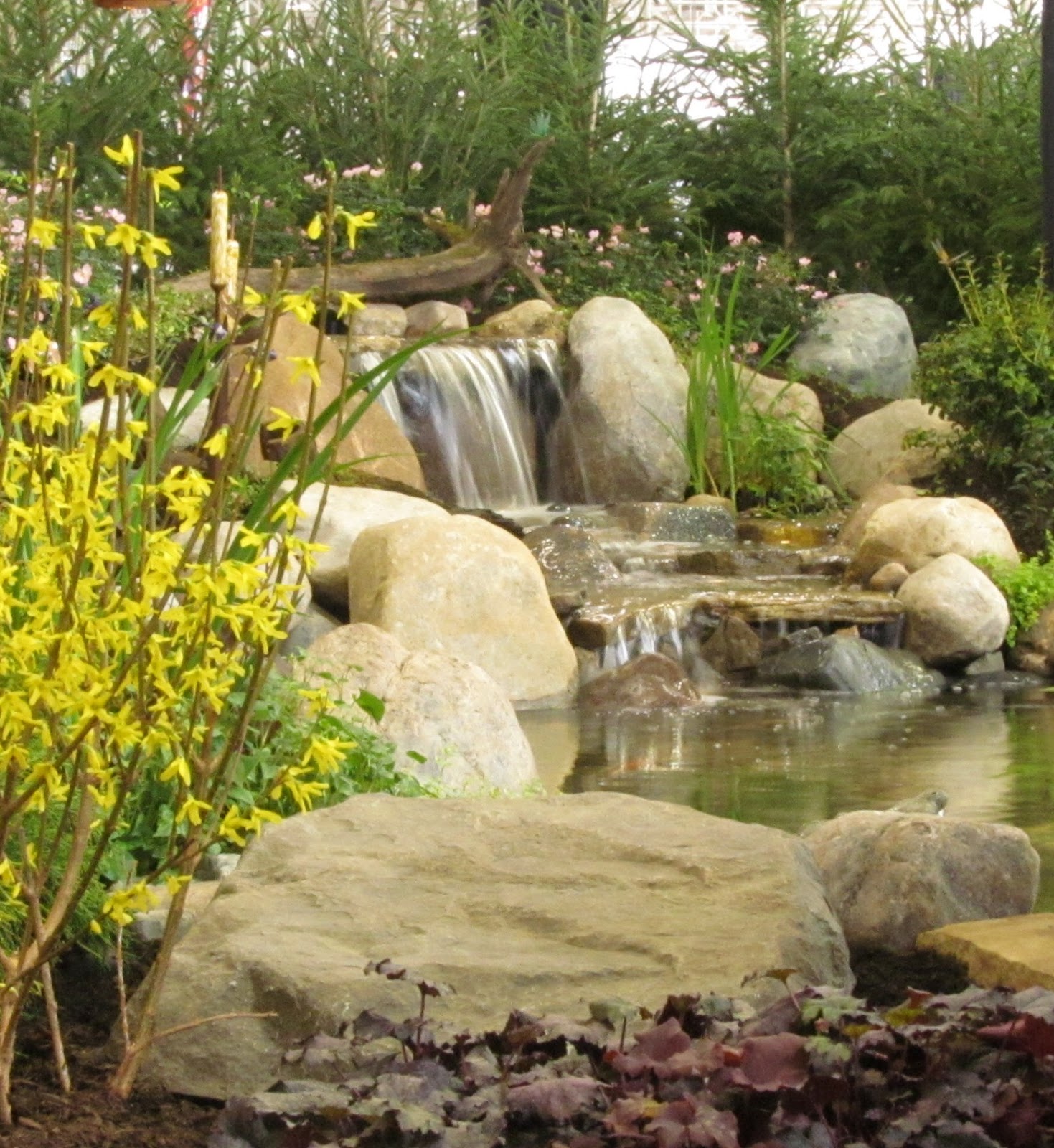 April To Do's for Your Water Garden