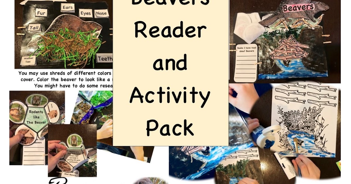 The Hermit Crabs Homeschool: Beavers Reader and Activity Pack