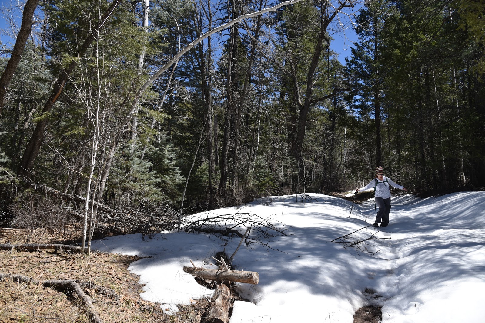 Arizona Hiking: MOUNT UNION