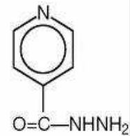 học Y: thuốc chống lao (thi)