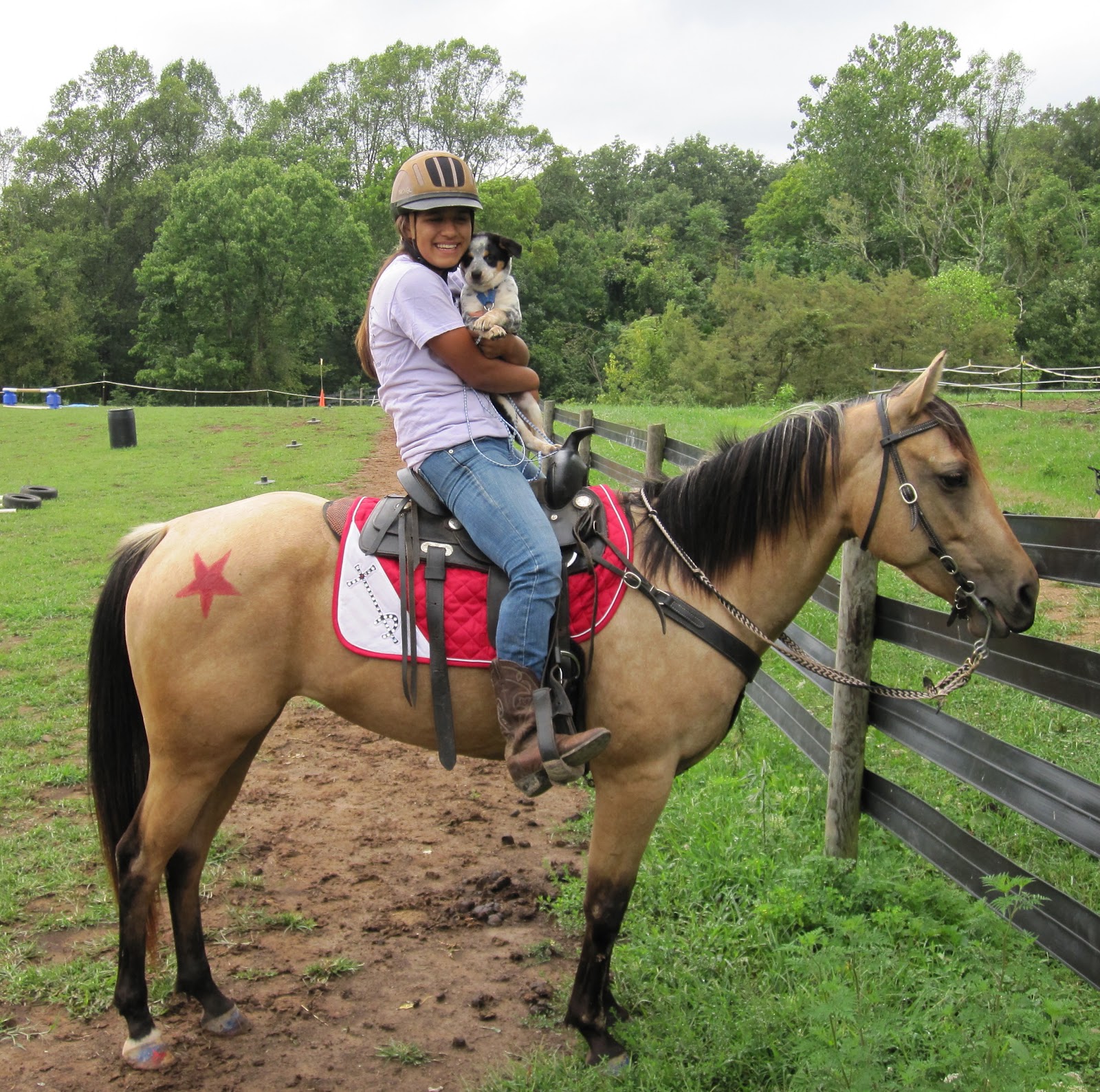 Jane Augenstein - My World in Pictures