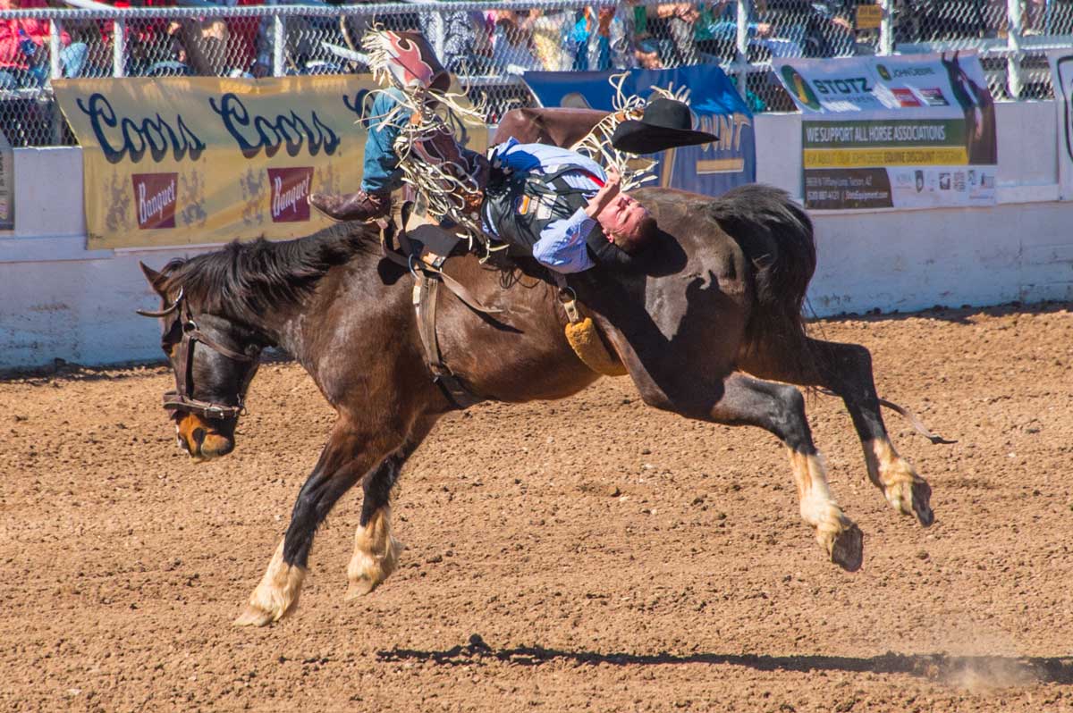 Kissack Adventures: Bull Riding ... The Scariest Event