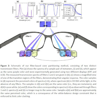 Human Color Vision Enhanced to 4 Colors - F4News