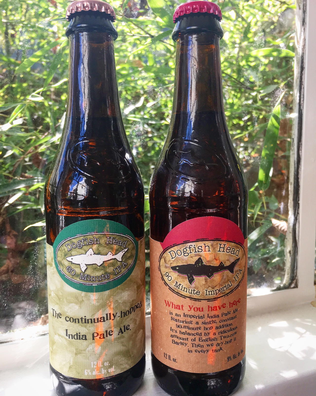 Bite and Booze: Booze Block: Dogfish Head Brewing Company 60 & 90 ...