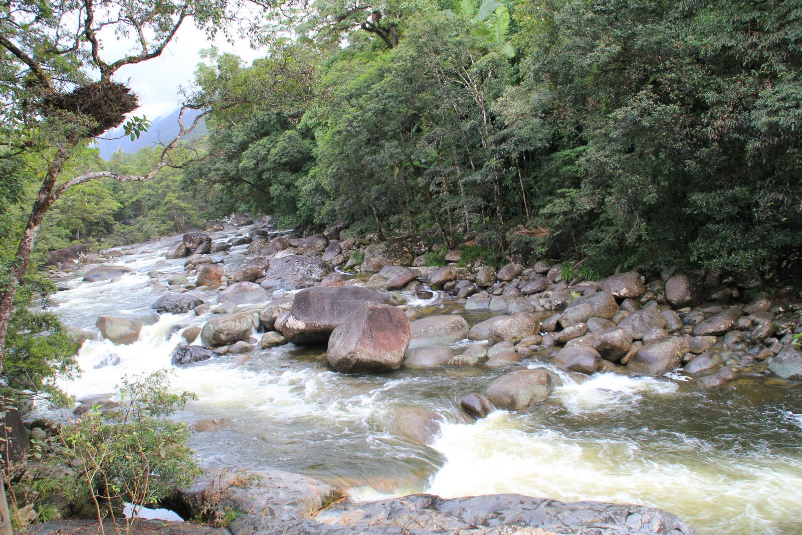 Travels of Karen and Mark: Mossman Gorge
