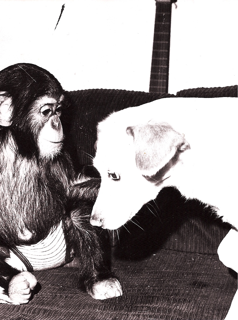 Sci/Why: February 2012