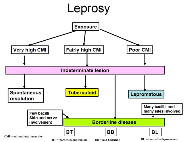 Leprosy: Evolution