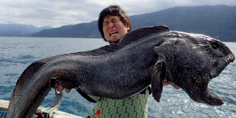 underproductz: Peixe mutante de Fukushima