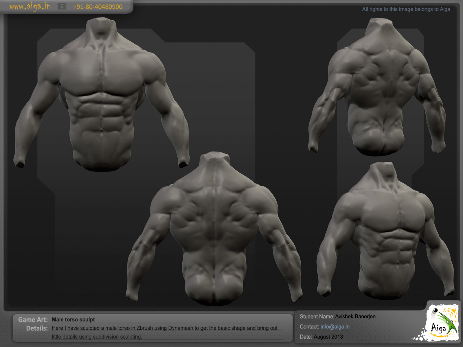 Avishek Banerjee 3D modelling/sculpting blog: Zbrush Sculpt - male torso