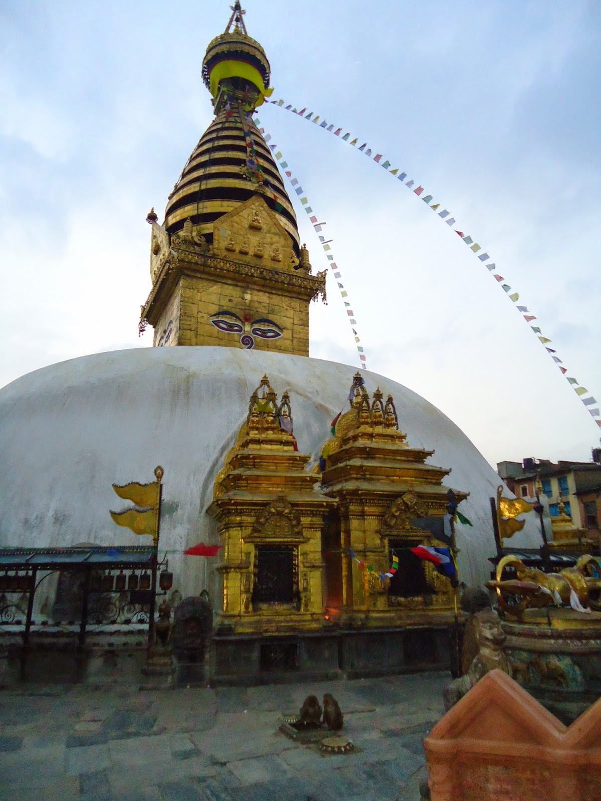 Templul maimutelor - SWAYAMBHUNATH [Kathmandu] - Hai Cu Butterfly