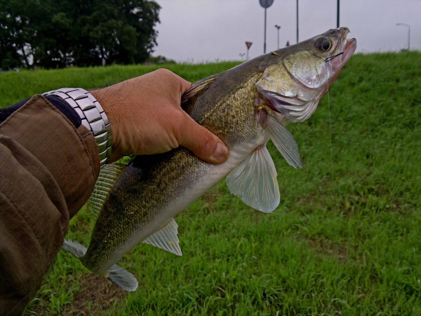 About Fishing, Birds, Hiking and other adventures. : Sim-lock ...