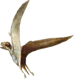 Los animales en la prehistoria: Animales prehistóricos con la letra B