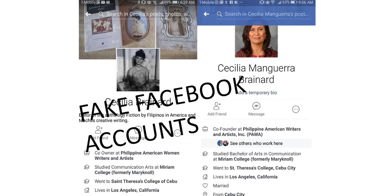 TRAVELS (and more) WITH CECILIA BRAINARD: What to Do with Fake Facebook ...