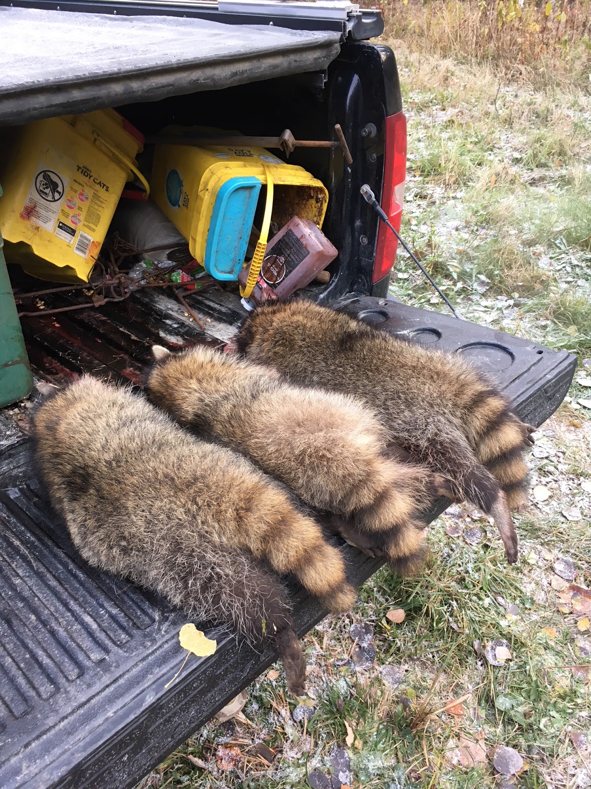 Northern Maine Ridge Runners and River Rats
