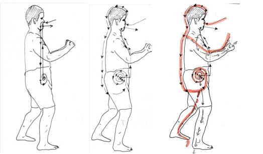 Ken Zen Ichinyo: Sanchin, kihongata